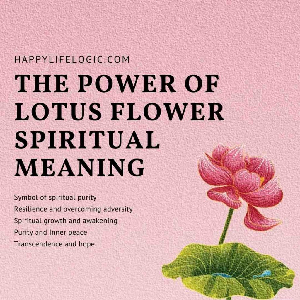 Harness the Power of The 5 Lotus Flower Spiritual Meaning - Happy Life ...