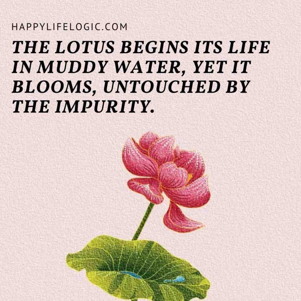 Harness the Power of The 5 Lotus Flower Spiritual Meaning - Happy Life ...