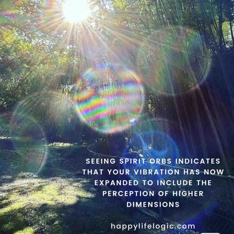 How to Capture and Interpret Spirit Orbs of Light in Photographs ...