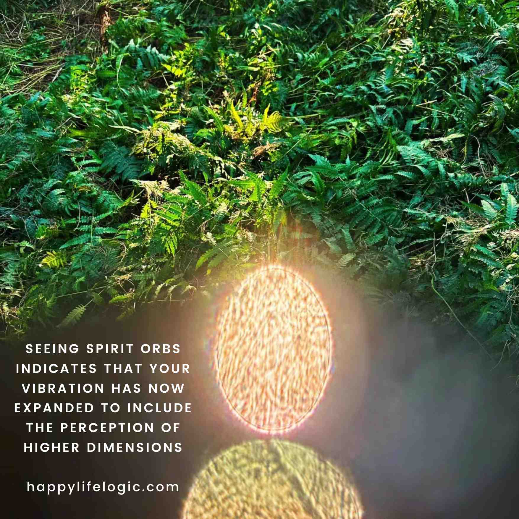 How to Capture and Interpret Spirit Orbs of Light in Photographs ...